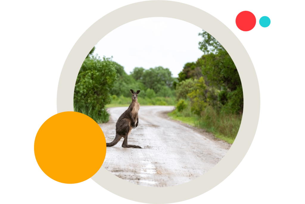 Work & Travel Australia | Working Holiday | InterExchange